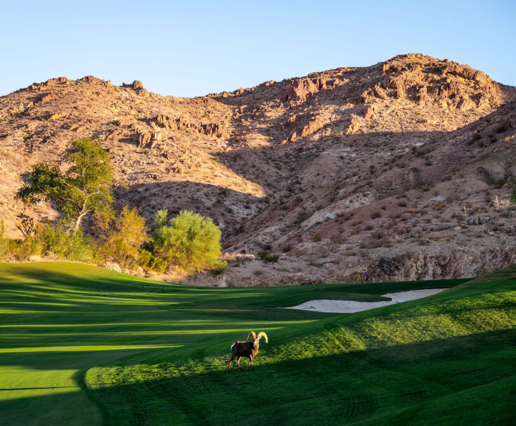 About - Cascata Golf Club